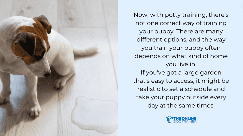 Puppy Training Tips: How to Set Your New Puppy Up for Success