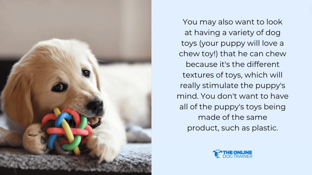 Puppy Training Tips: How to Set Your New Puppy Up for Success