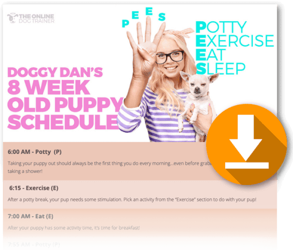 8-Week-Old Puppy Training Schedule: The Ultimate Guide (+Free Sample ...