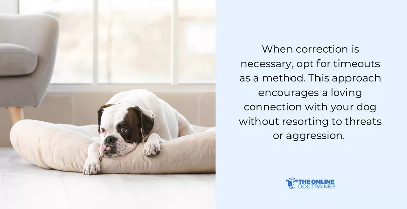 Dog Aggressive Stance: How to Handle a Dominant Dog