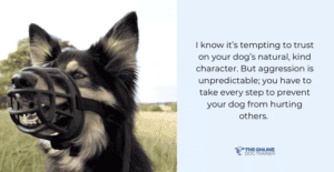 How to Stop Dog From Snapping: 10 Training Tips for Aggressive Dogs
