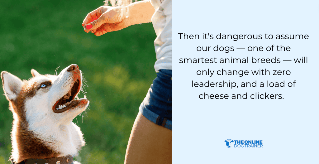 Unraveling the Controversy: The Truth Behind the Pack Leader Theory in ...