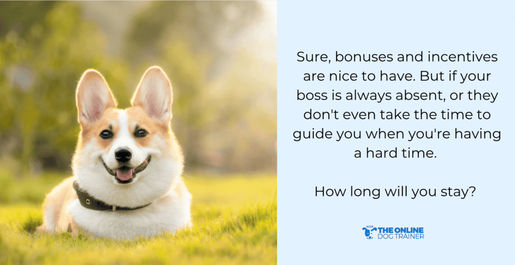 Unraveling the Controversy: The Truth Behind the Pack Leader Theory in ...