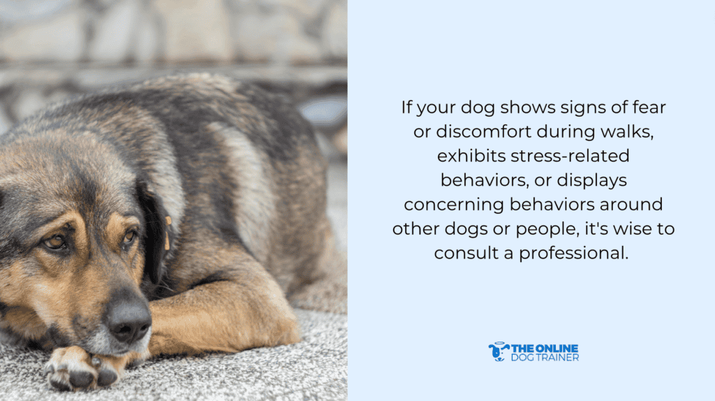 Understanding Dog Growling and How to Handle it - The Online Dog Trainer