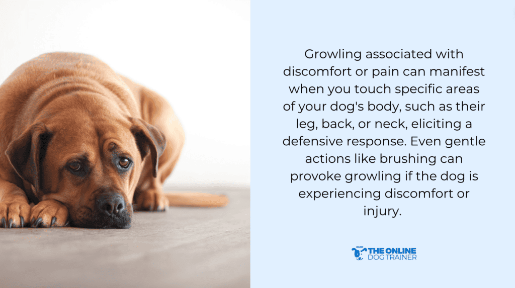 Understanding Dog Growling and How to Handle it - The Online Dog Trainer