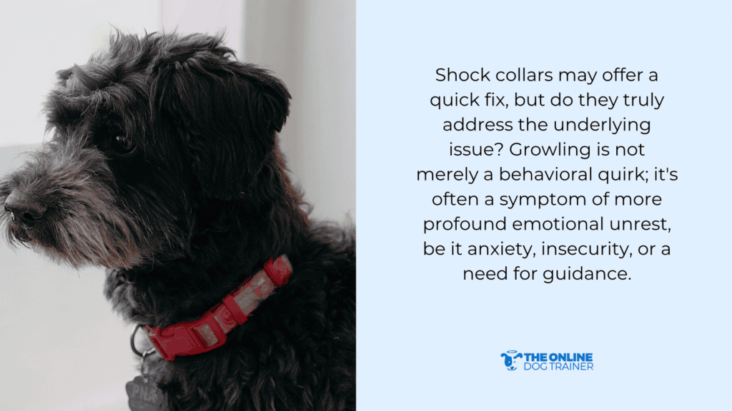 Understanding Dog Growling and How to Handle it - The Online Dog Trainer