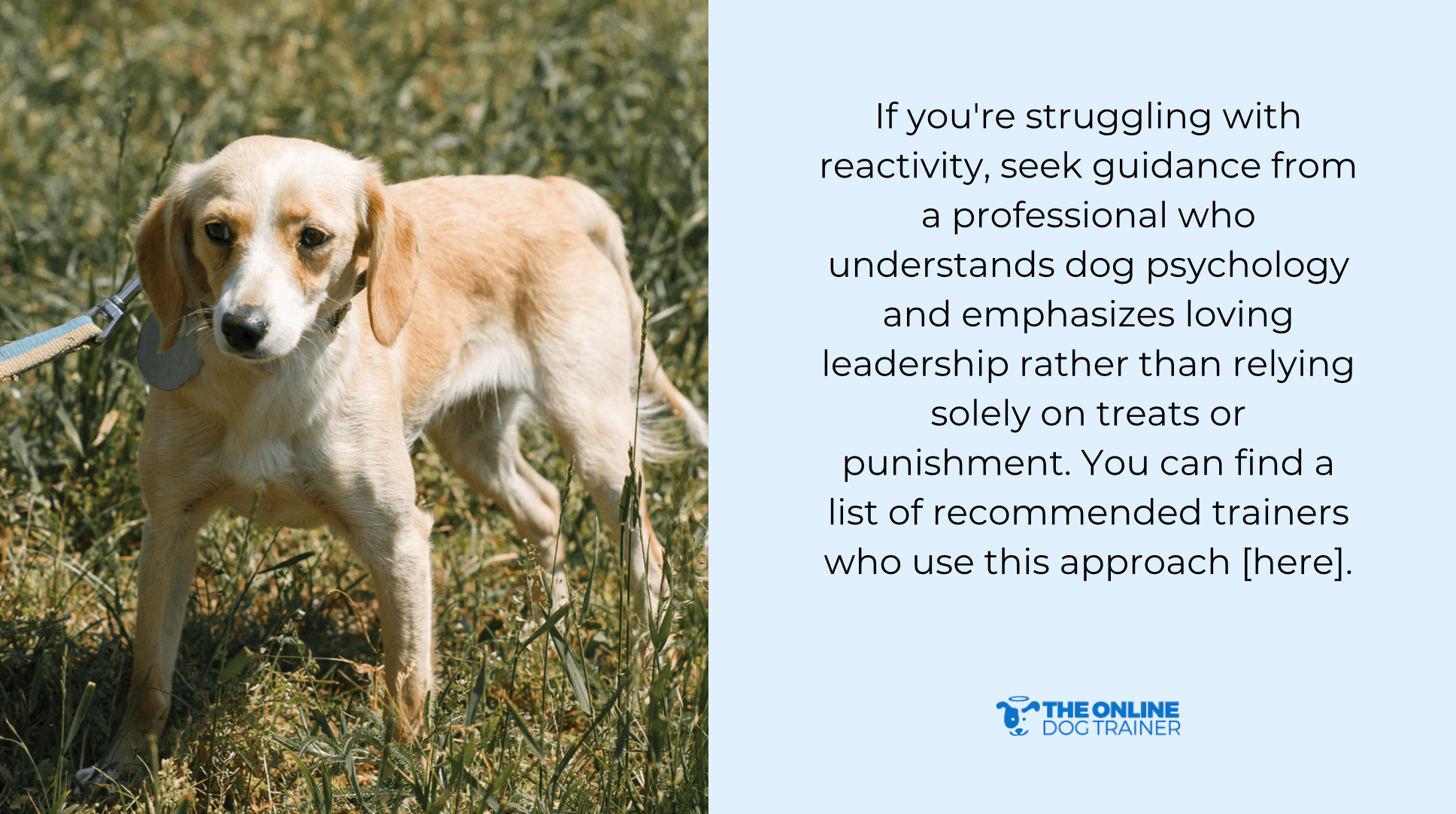 Understanding Your Dog’s Reactivity: How to Use a Dog Reactivity Chart ...