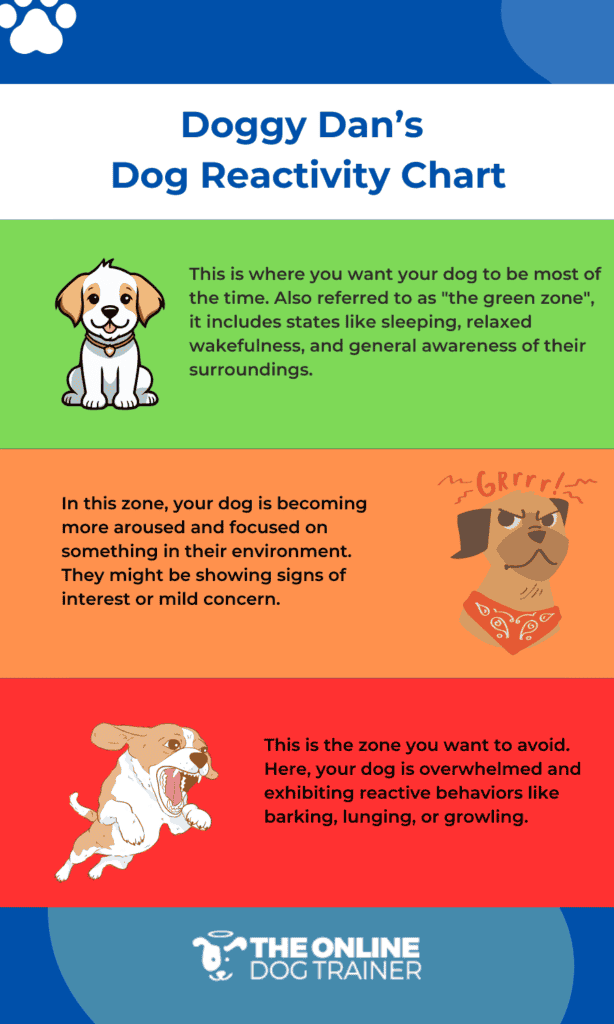 Understanding Your Dog’s Reactivity: How to Use a Dog Reactivity Chart ...
