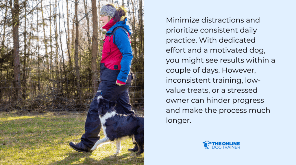 What Does 'Heel' Mean in Dog Training? A Beginner’s Guide - The Online ...